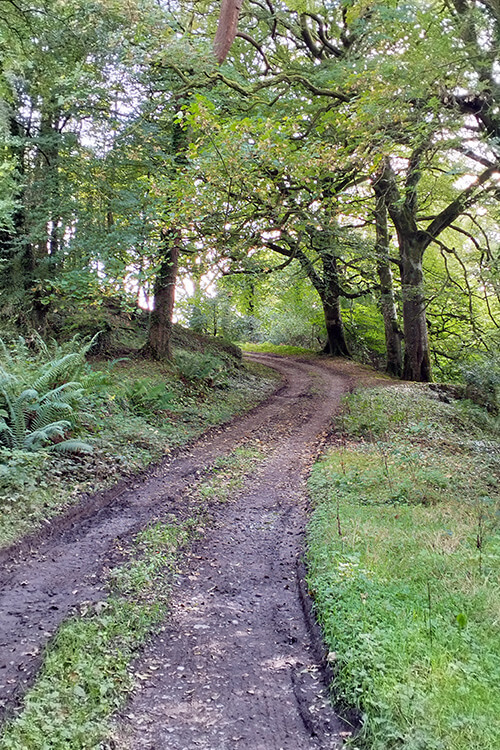 Kilcummin Parish, Killarney, Kerry, Rural Community